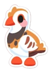 Partridge Sticker - Adopt Me Trading | TradeKitsune